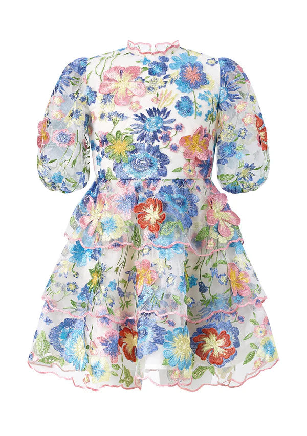 Laura Embroidered Mini Dress – Cutie Patootie